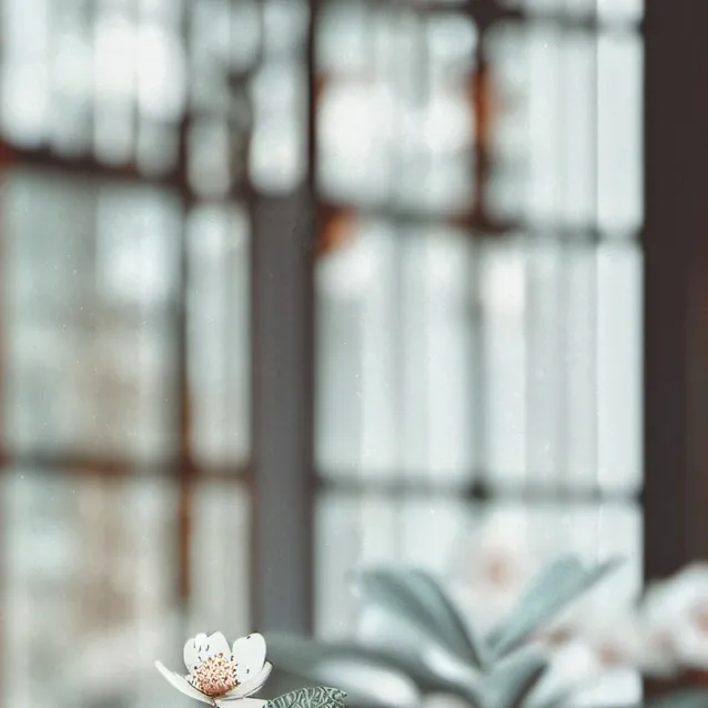 Chat with Fpe + Smiling crit - text or voice, Enjoy AI Chat Free & Safe