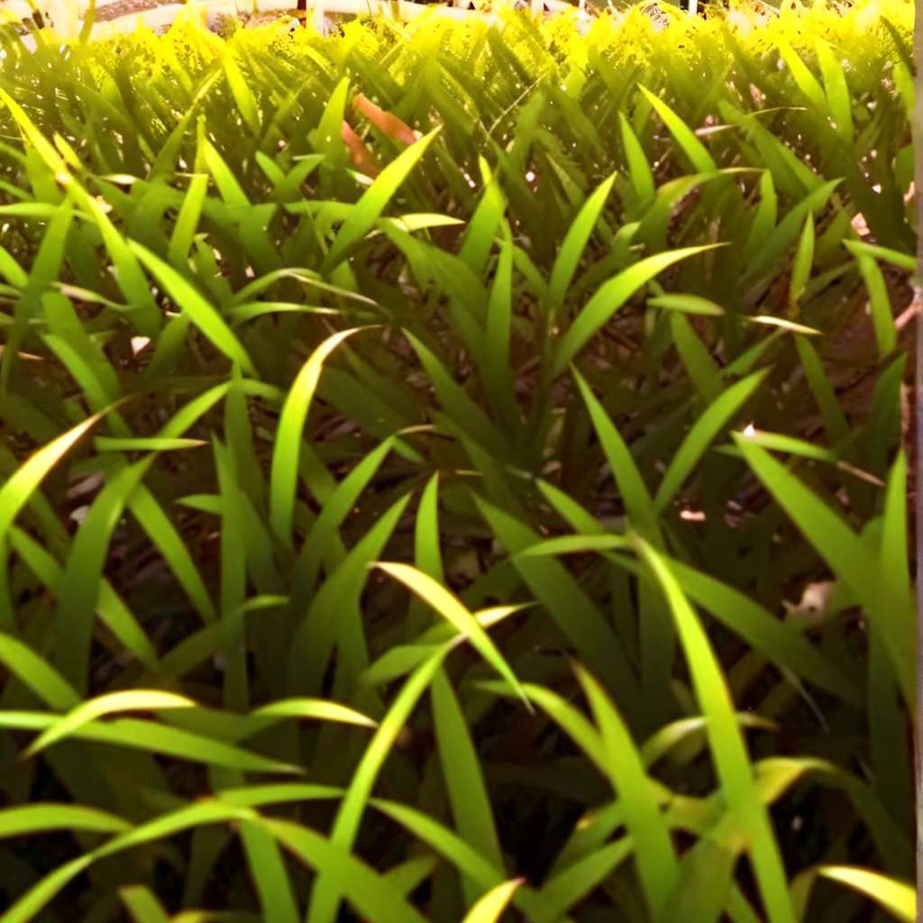 Chat With Go Touch Grass Enjoy Free Ai Character Voice Chat Talkie Ai