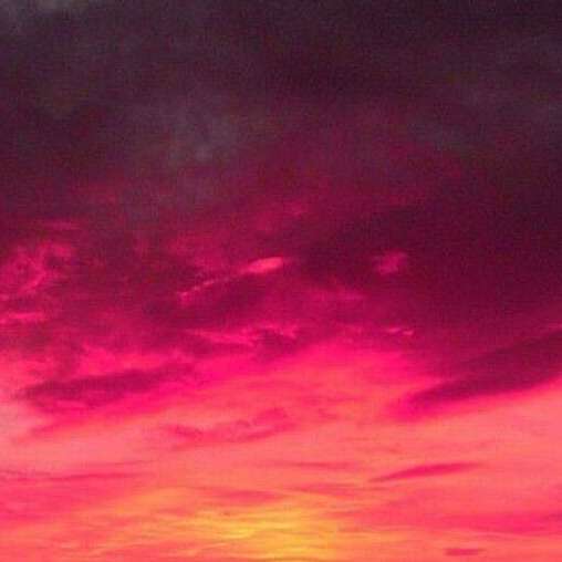 Talkie Profile Alan's Universe | Talkie AI