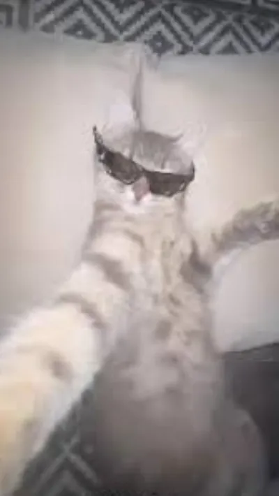 Free AI Chat with AI Characters From freaky | Talkie AI