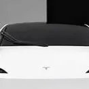 Chat with Tesla car - text or voice, Enjoy AI Chat Free & Safe