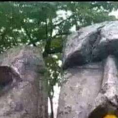 Chat with gigachad - Enjoy Free AI Character Voice Chat | Talkie AI