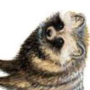 Talkie Profile YB & BC zoom | Talkie AI