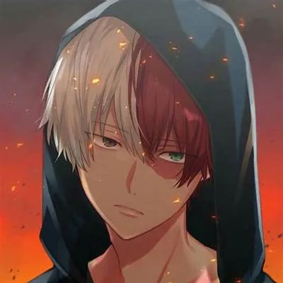 Creator Profile of 🧊🔥Shoto_Todoroki🔥🧊 - Create Your Own AI Characters | Talkie AI
