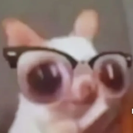 yippie - Memories of ur abbie in fpe | Talkie AI