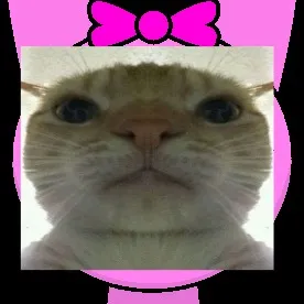 Talkie Profile scemer Pinki | Talkie AI