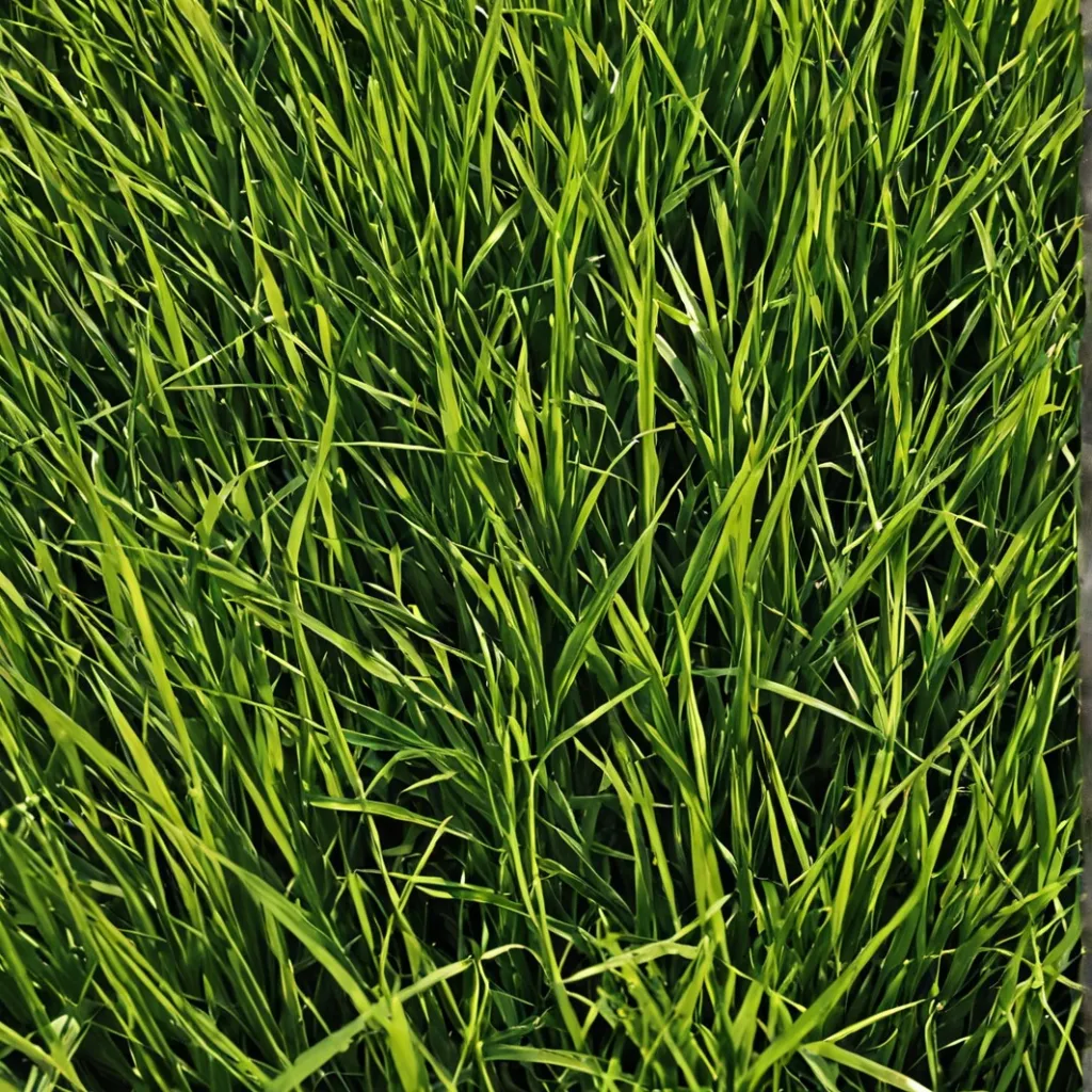 Chat with gtag /gorrila tag - text or voice, Enjoy AI Chat Free & Safe