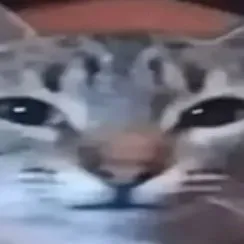 top peleas más épicas del anime - Memories of Capibara tactico | Talkie AI