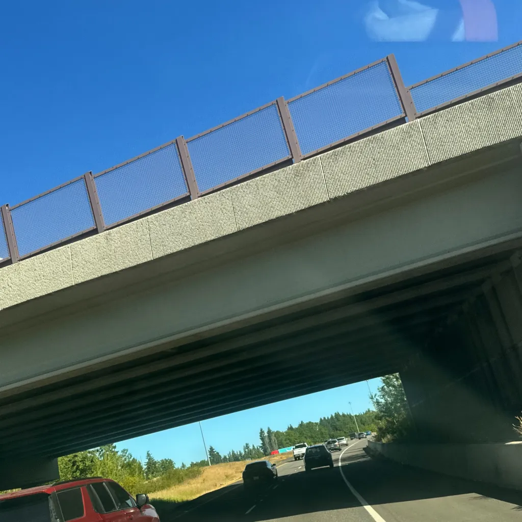 Chat with jesse - text or voice, Enjoy AI Chat Free & Safe