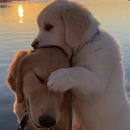 Creator Profile of Bla Bla Bla... - Create Your Own AI Characters ...