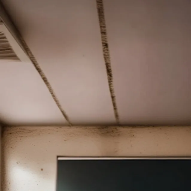 Chat with mha x dmc - Enjoy Free AI Character Voice Chat | Talkie AI