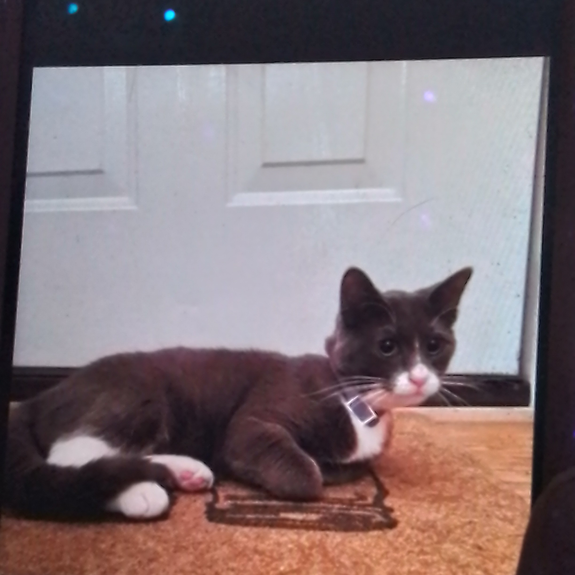 Talkie Profile Pmdamain'n'Potemer | Talkie AI