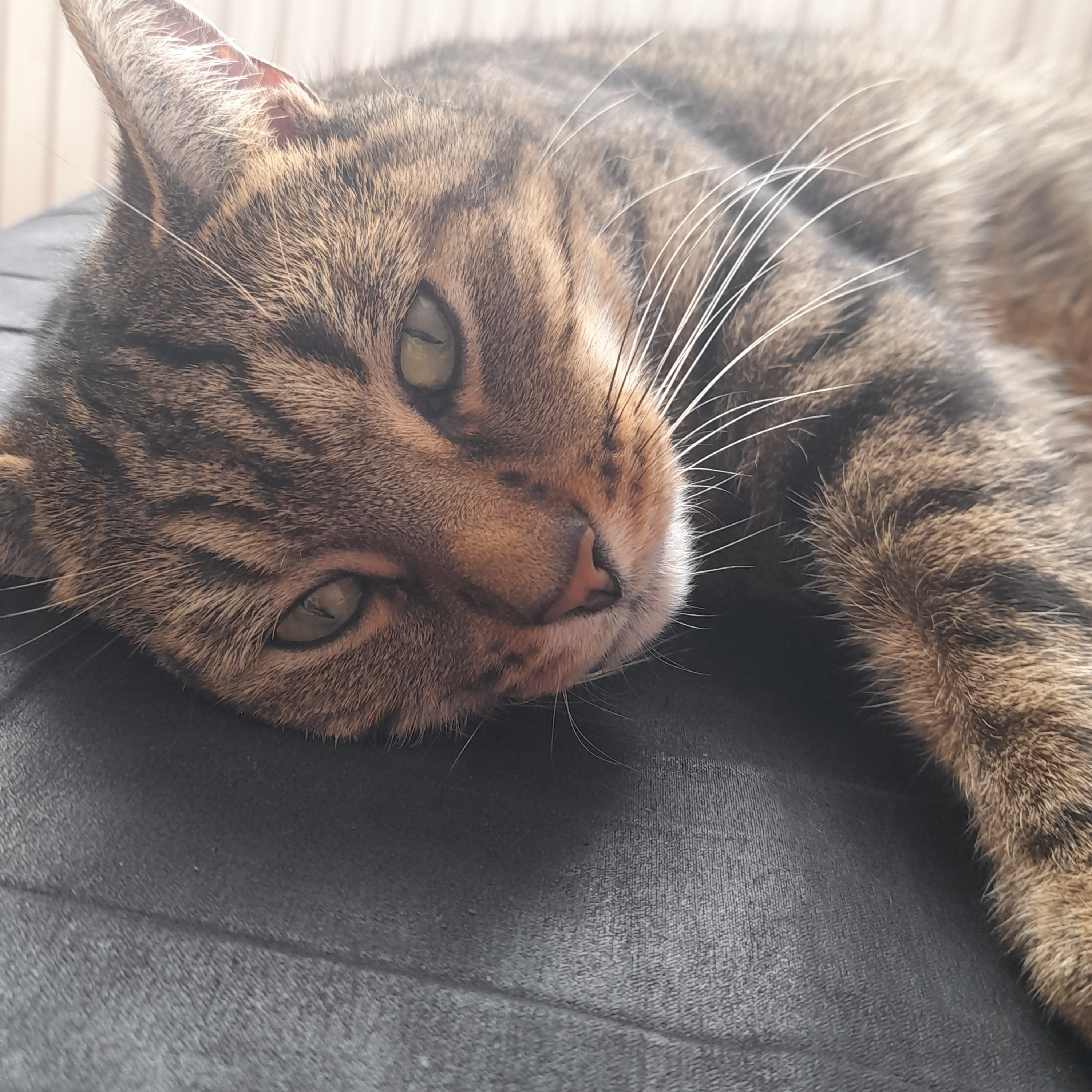 Im so proud of myself! - Memories of Fpe pool | Talkie AI