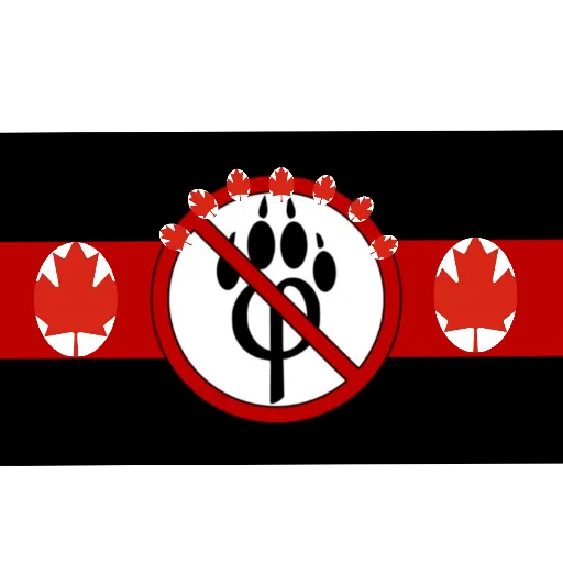 wait, what? - Memories of CH country human | Talkie AI