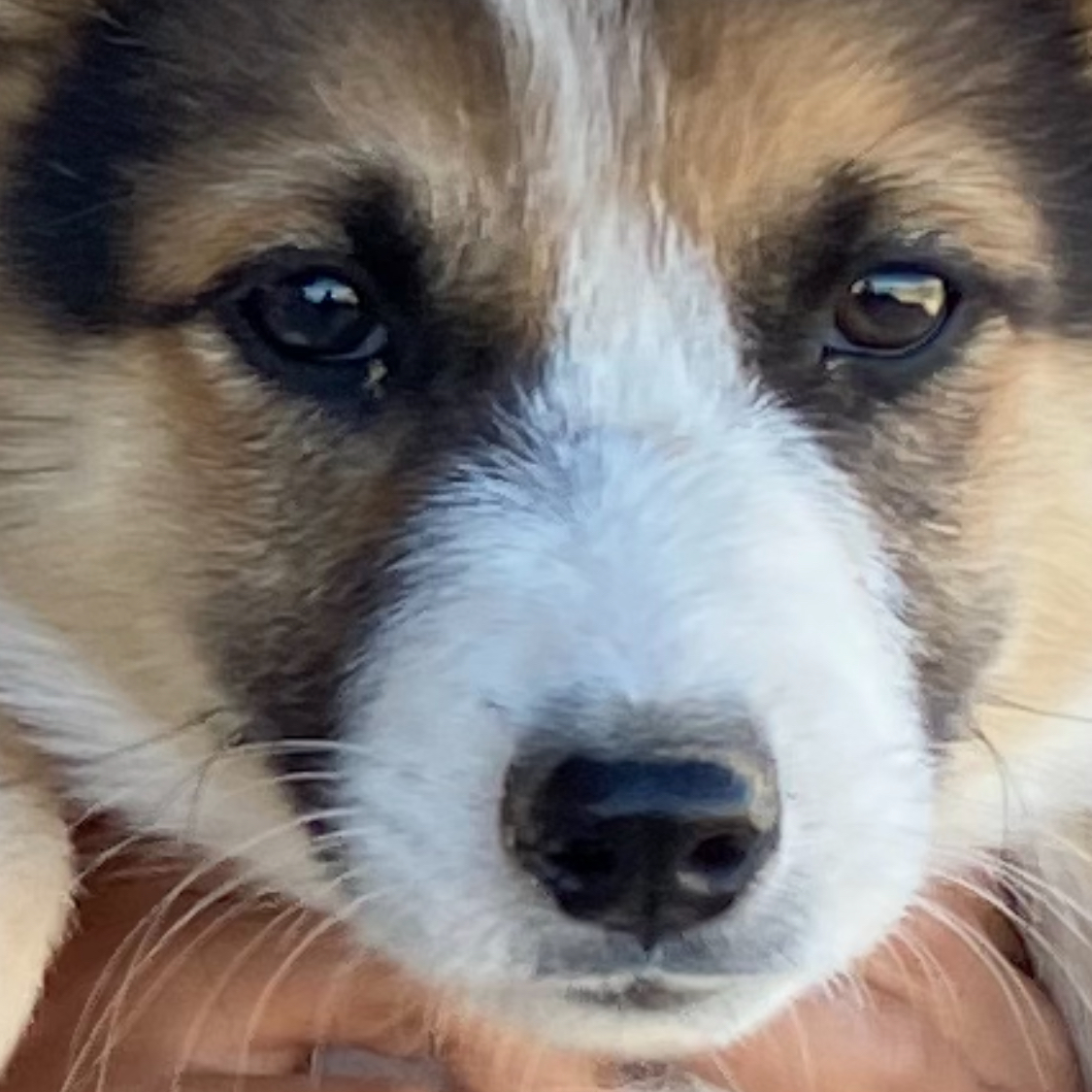 Creator Profile of Jaden97282 - Create Your Own AI Characters | Talkie AI