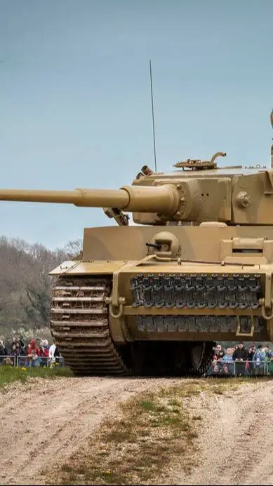 Talkie Profile Tiger One Tank | Talkie AI