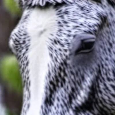 Chat with Storm - text or voice, Enjoy AI Chat Free & Safe