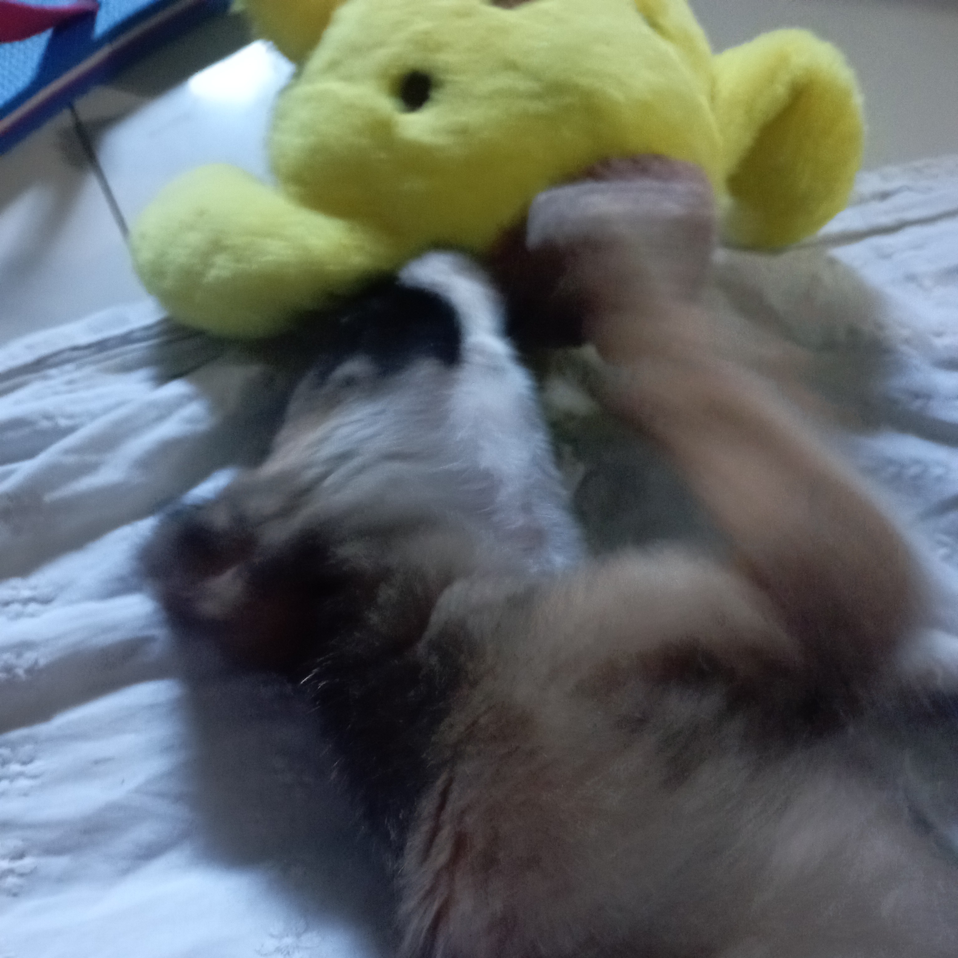 Talkie Profile simon x durple | Talkie AI